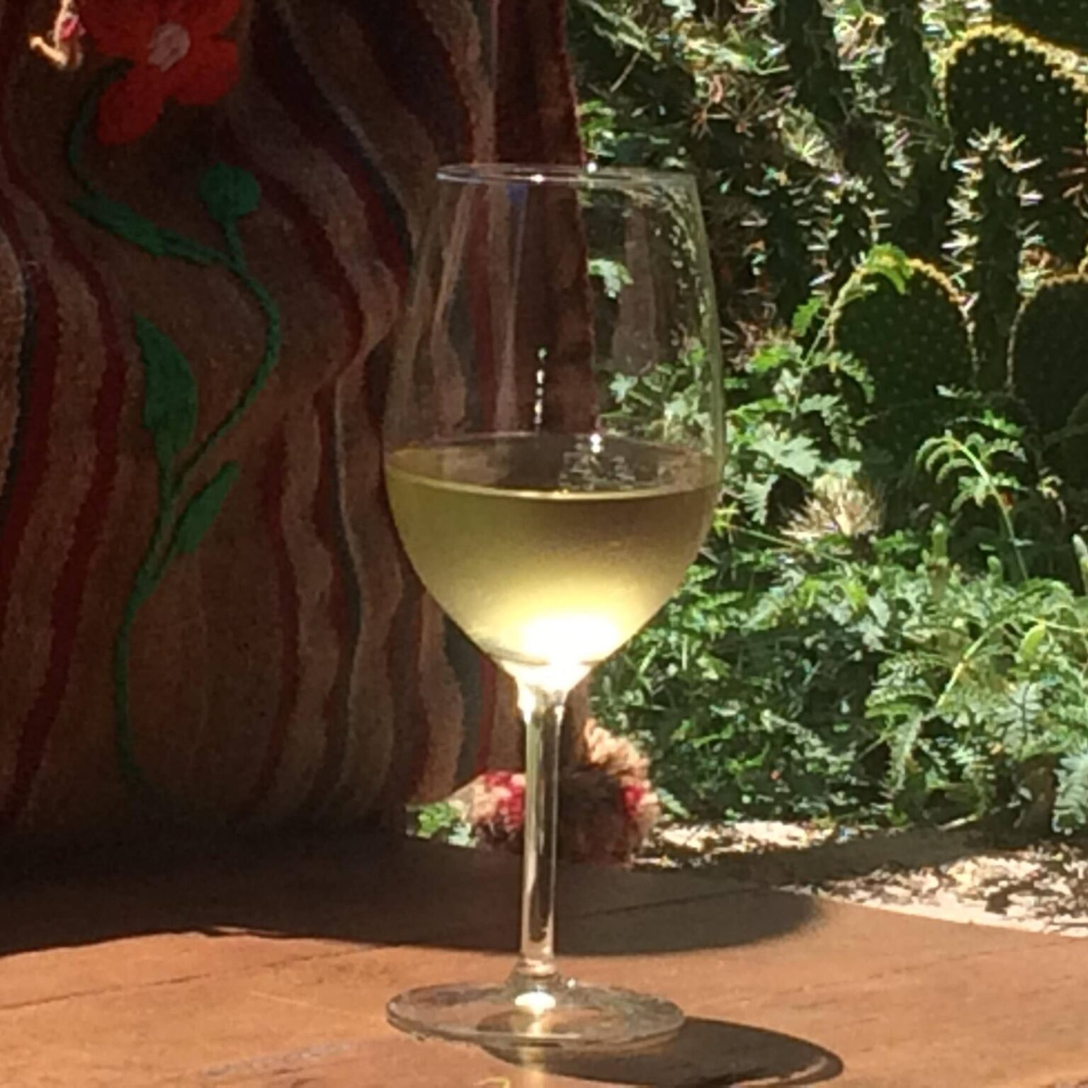 Ruta del Torrontés Riojano – ArgentineWines.Com